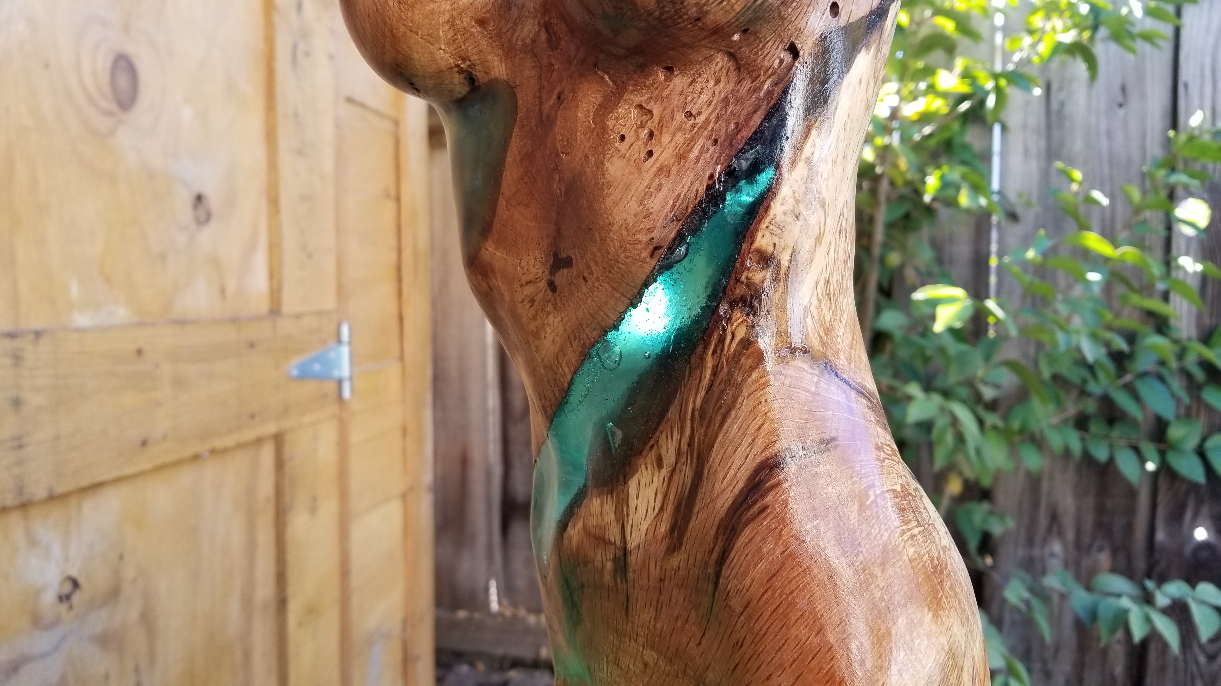 Female torso out of a branch and epoxy resin | Top o' Arts